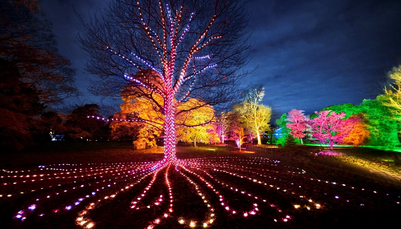 Exhibitions & Public Programs - San Diego Botanic Garden