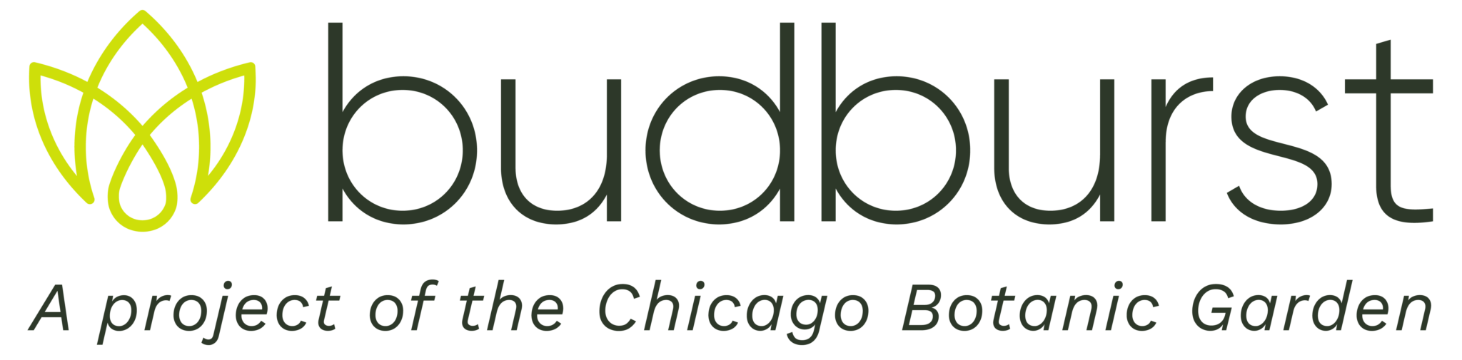 Budburst - San Diego Botanic Garden