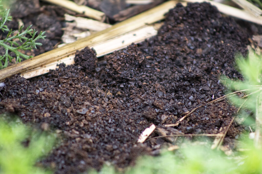 Worm Composting 101: Turn Scraps into Garden Treasure - San Diego ...