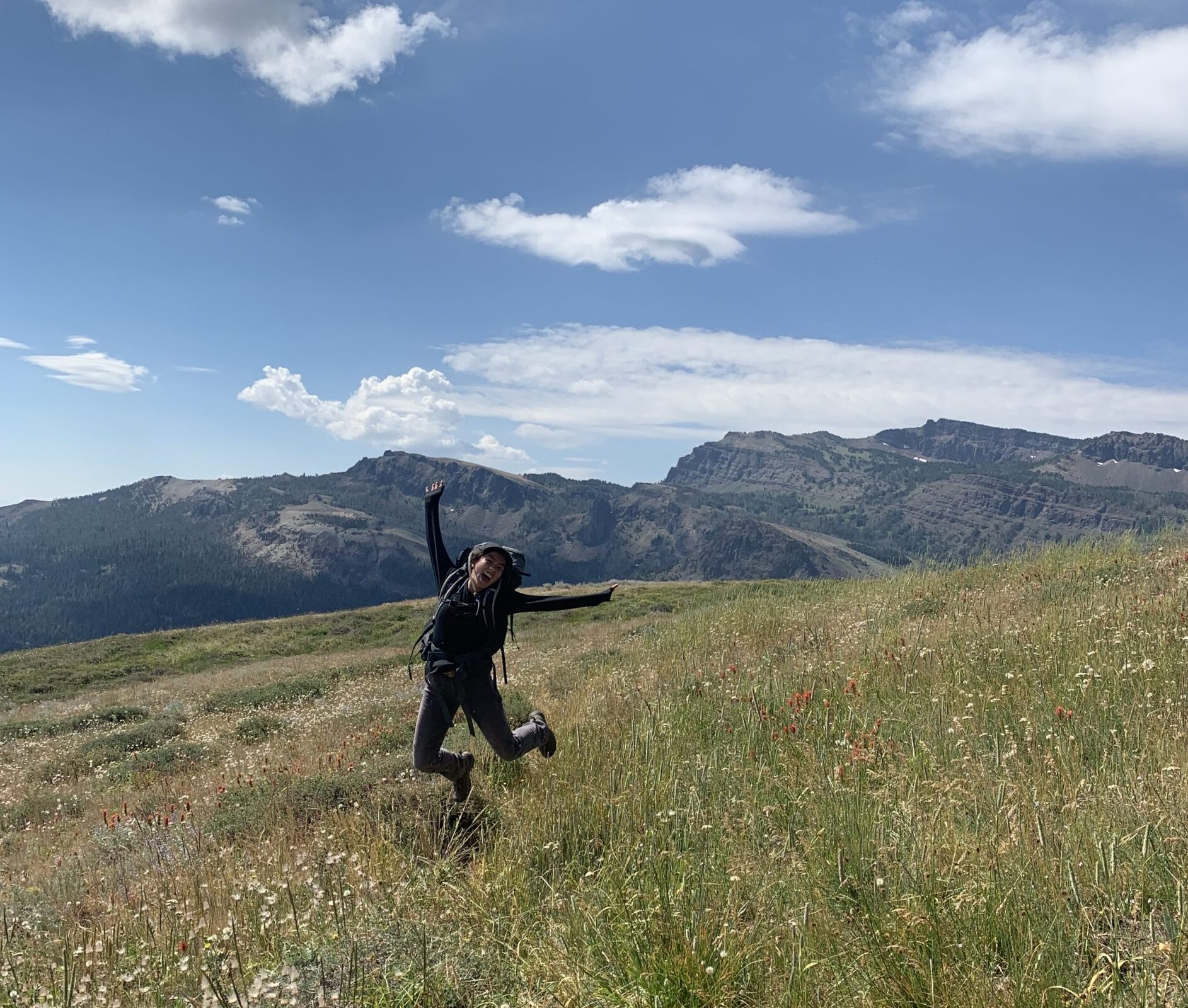 Blog - San Diego Botanic Garden