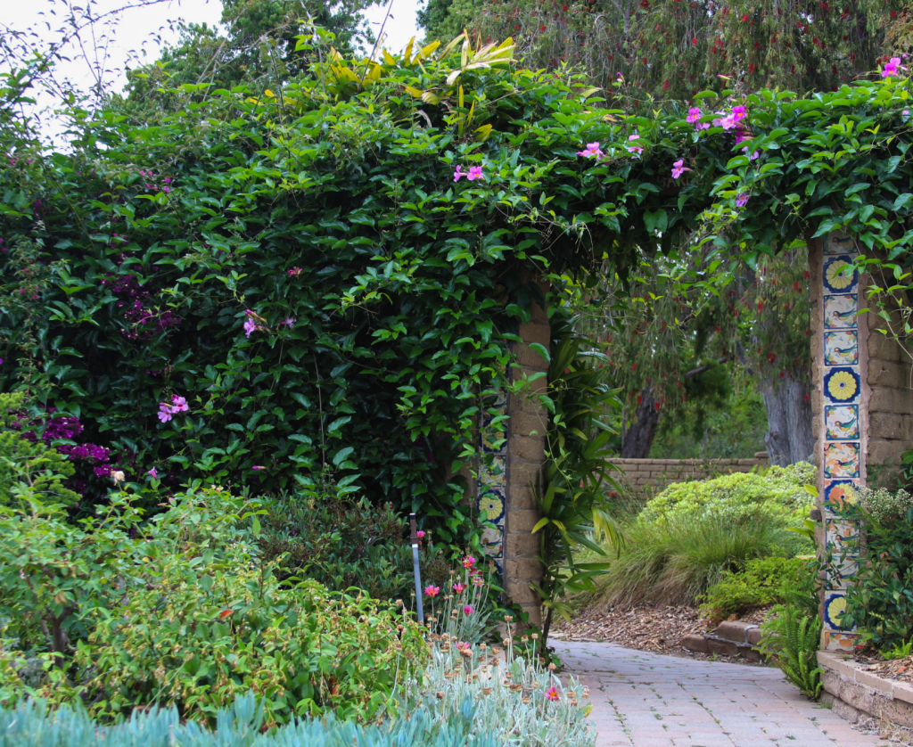 02/14 - Open Air Yoga - San Diego Botanic Garden